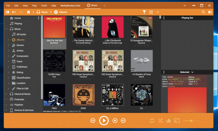 The 9 Best Music Management Apps for Windows - HiFi Oasis