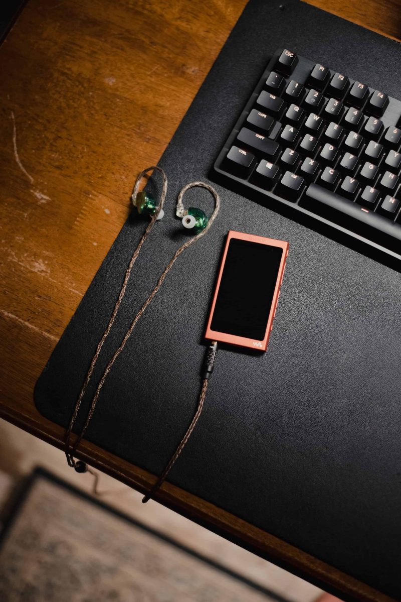 Best In-Ear Monitors (IEMs) in 2024 - HiFi Oasis